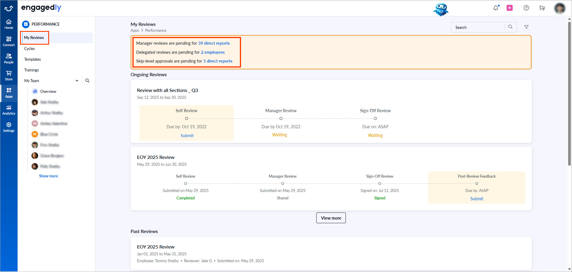 My performance review dashboard